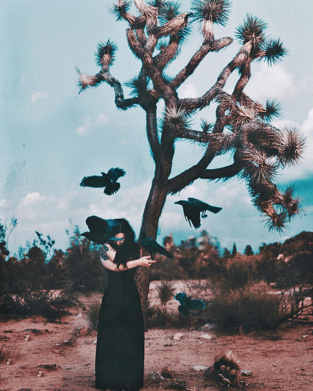 ERIN GRABOSKI - Desert Maiden | Photography | ART